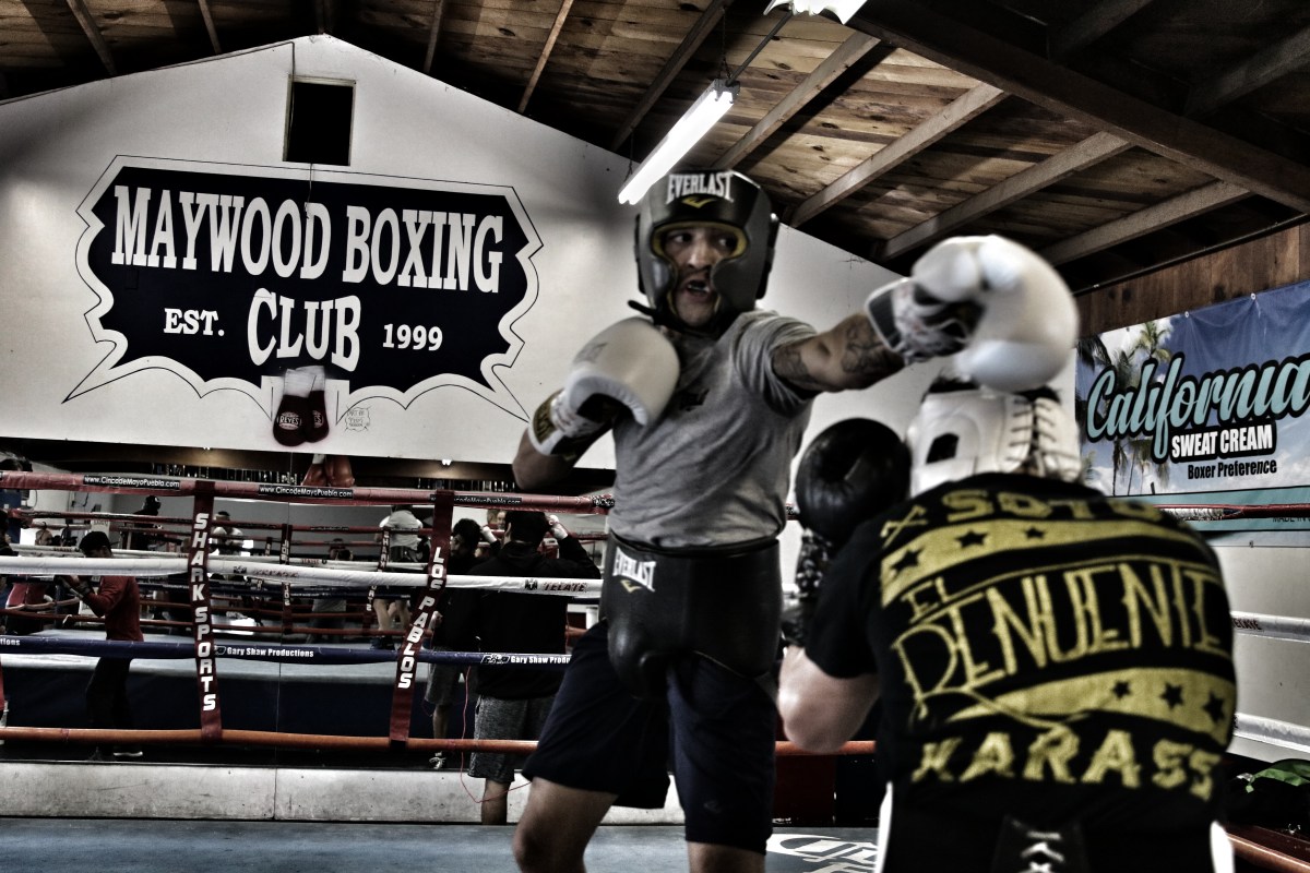 A DAY IN CAMP WITH FORMER WORLD CHAMPION LEE SELBY AND WELSH KING GAVIN ...