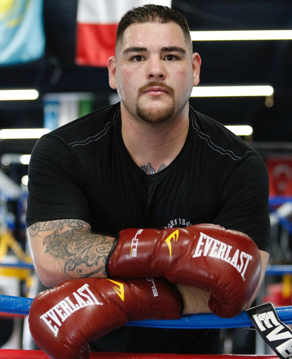 PHOTOS | ANDY RUIZ LA WORKOUT – TOPCLASSBOXING