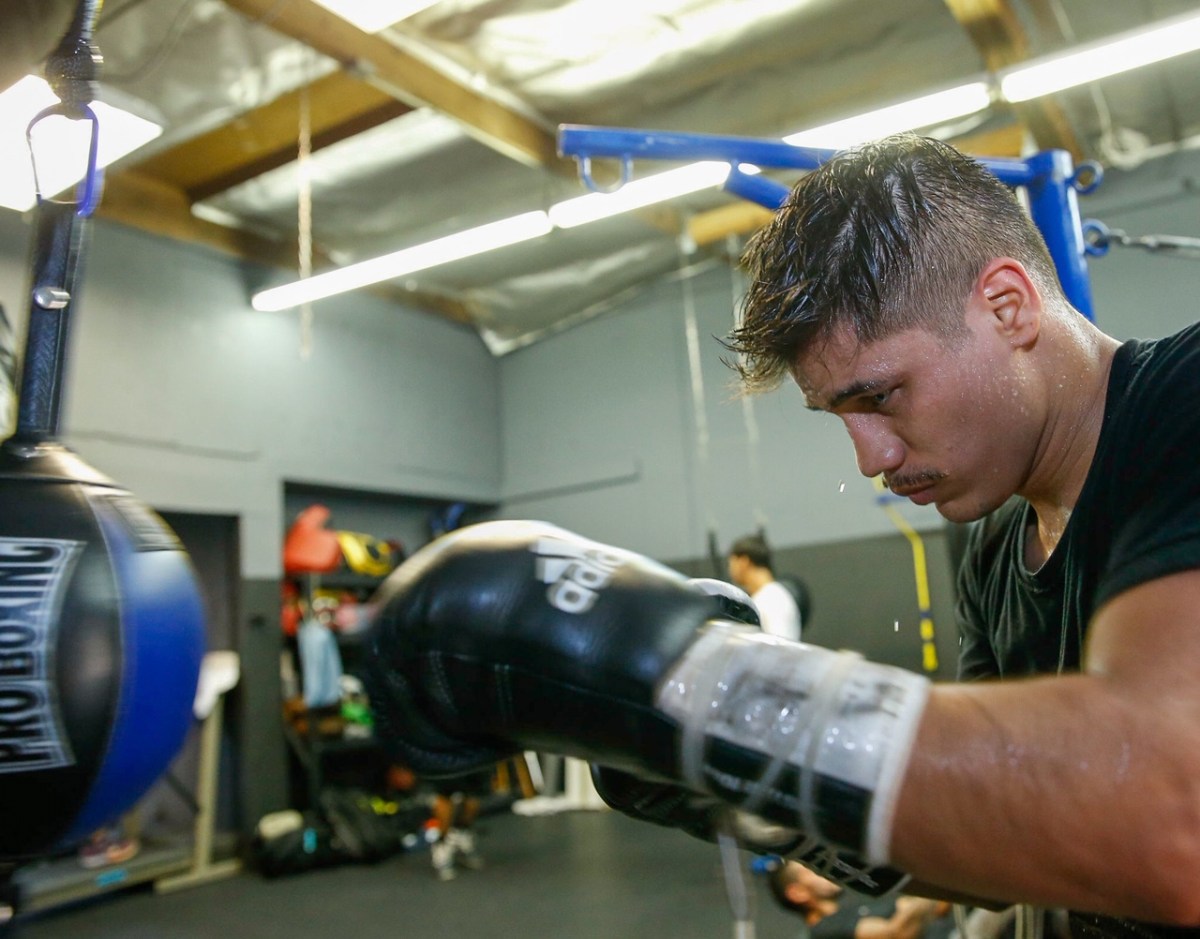 DANNY ROMAN TRAINING CAMP QUOTES – TOPCLASSBOXING