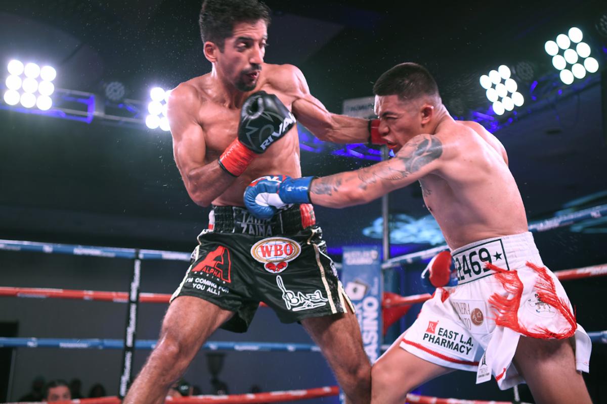 SARACHO AND ZAINA FIGHT TO A MAJORITY DRAW ON THOMPSON BOXING CARD – TOPCLASSBOXING